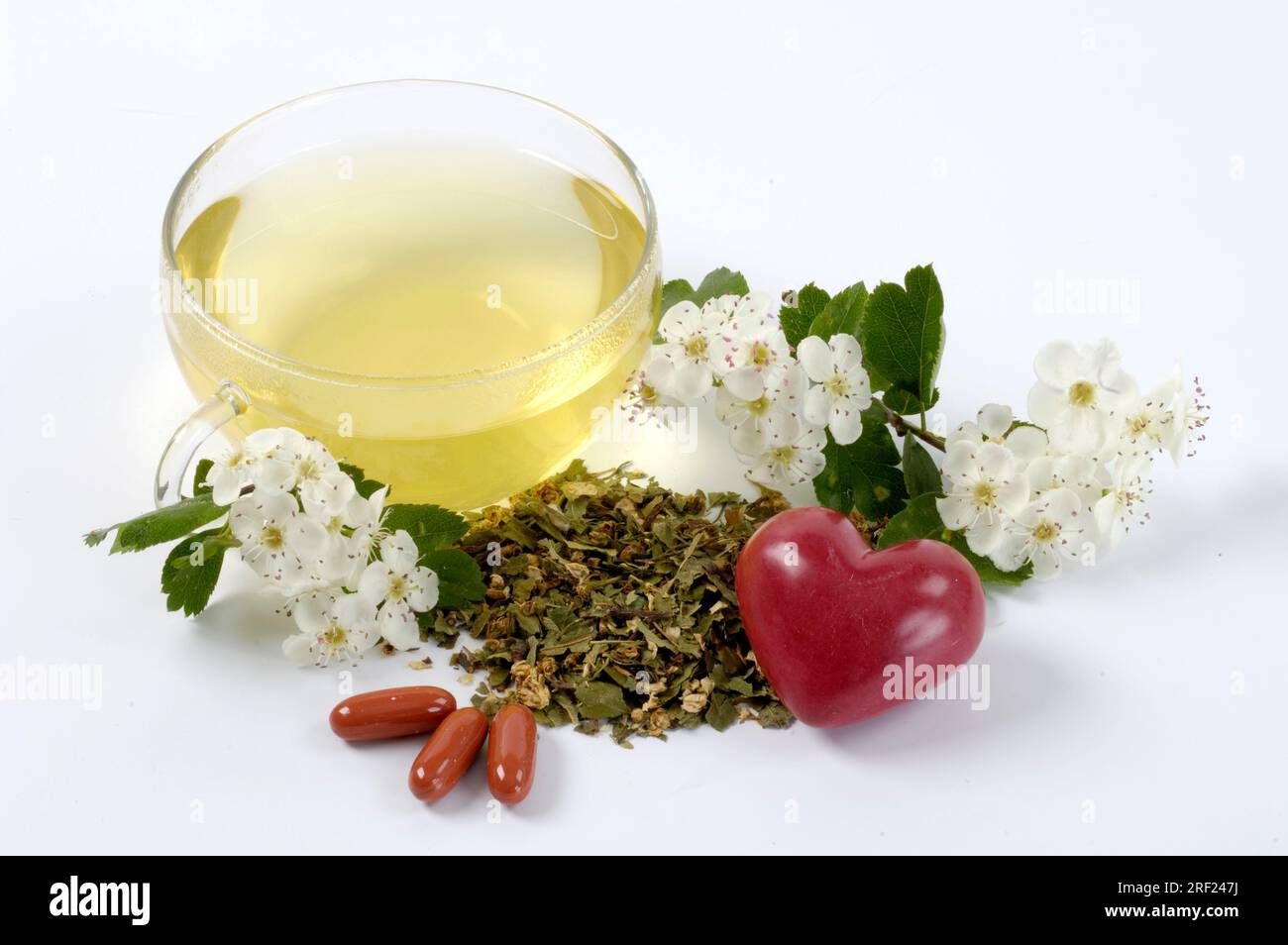 Common Common hawthorn (Crataegus monogyna), dried, Common hawthorn tea ...