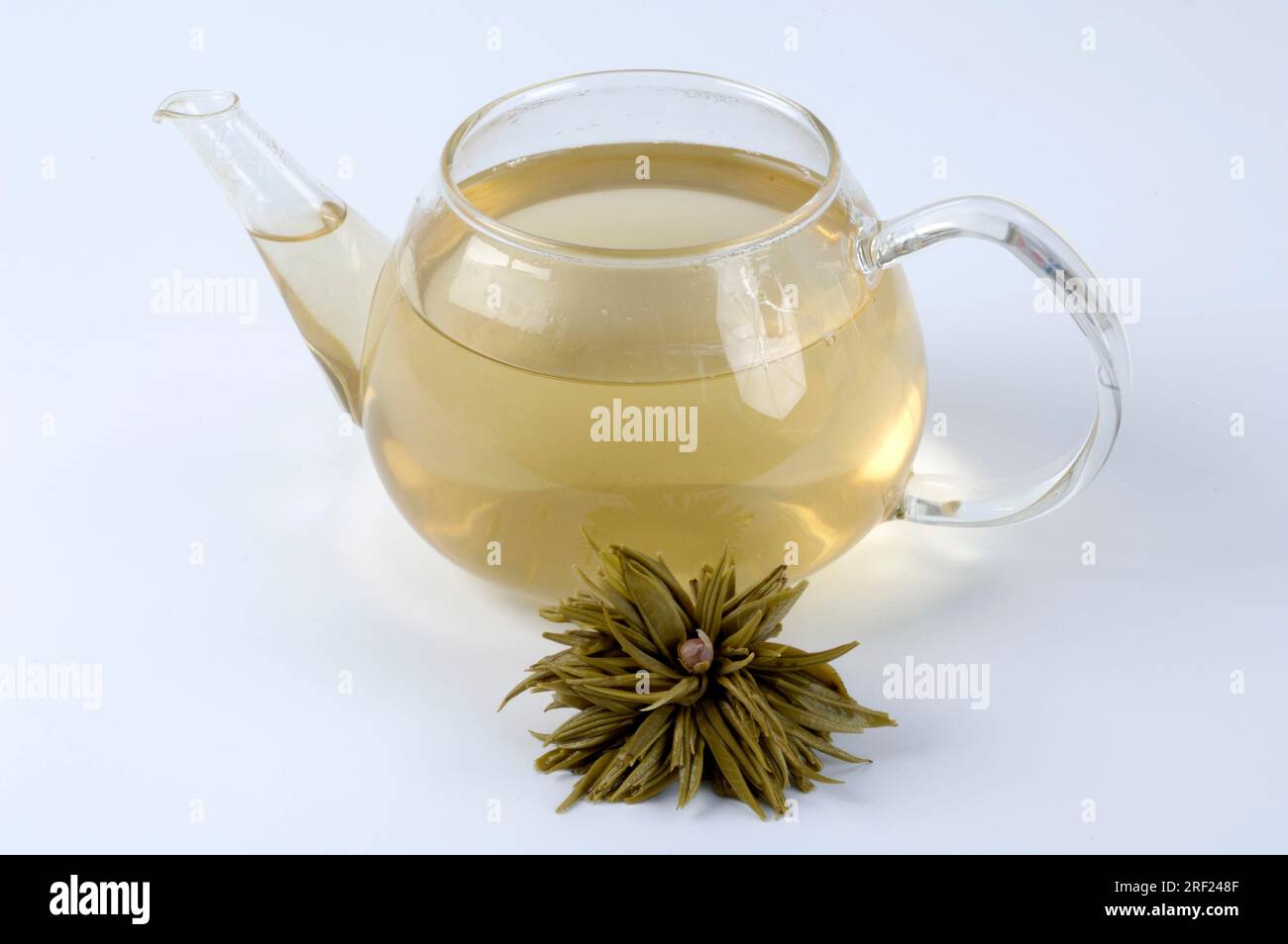 Green tea 'Rose Green', Green tea, Tea flower, Teapot Stock Photo - Alamy