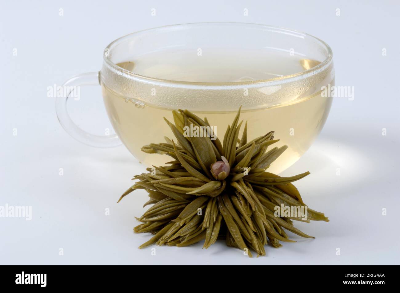 Green tea 'Rose Green', Green tea, Tea flower, Tea cup, Cup Stock Photo ...