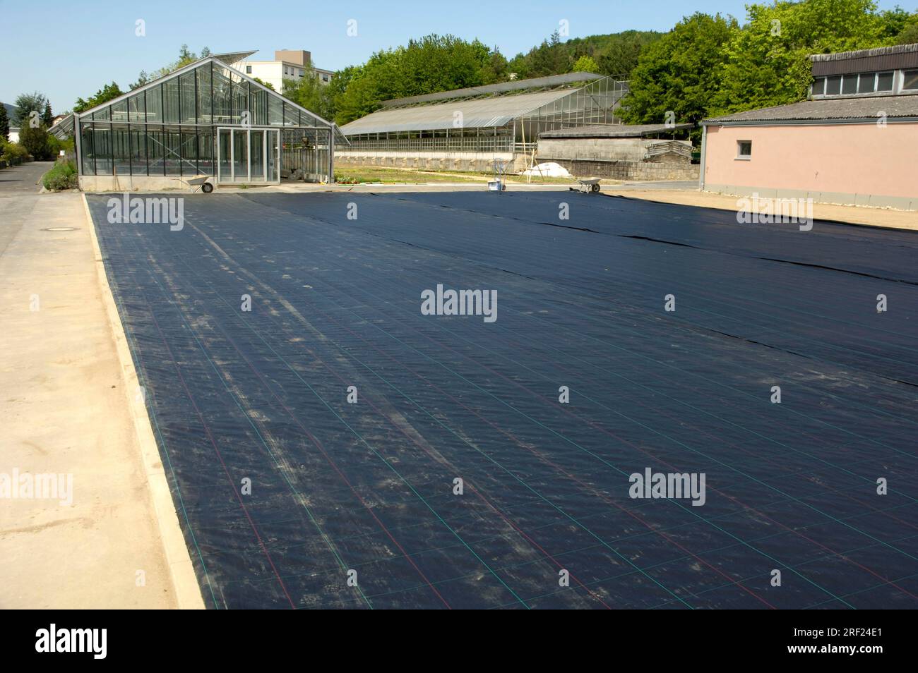 Mulch film, vegetable cultivation, Bavaria, Germany Stock Photo - Alamy