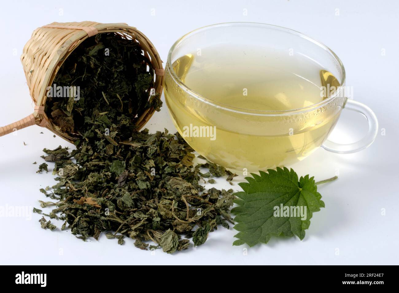 Cup with nettle tea and dried leaves (Urtica dioica Stock Photo - Alamy