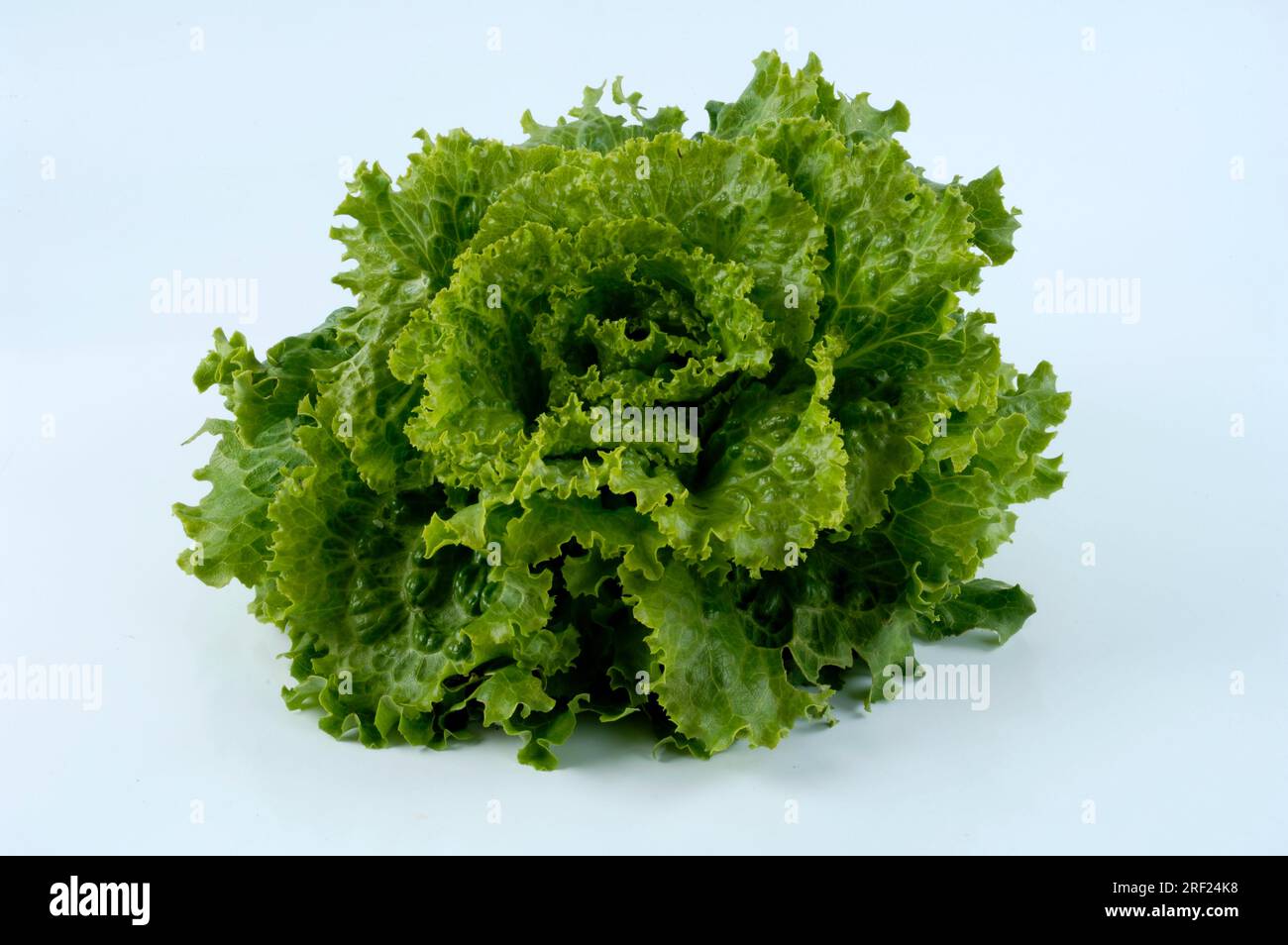 Lobi hi-res stock photography and images - Alamy