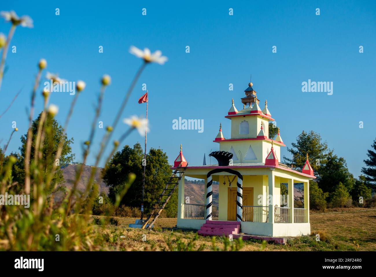 Nag devta hi-res stock photography and images - Alamy