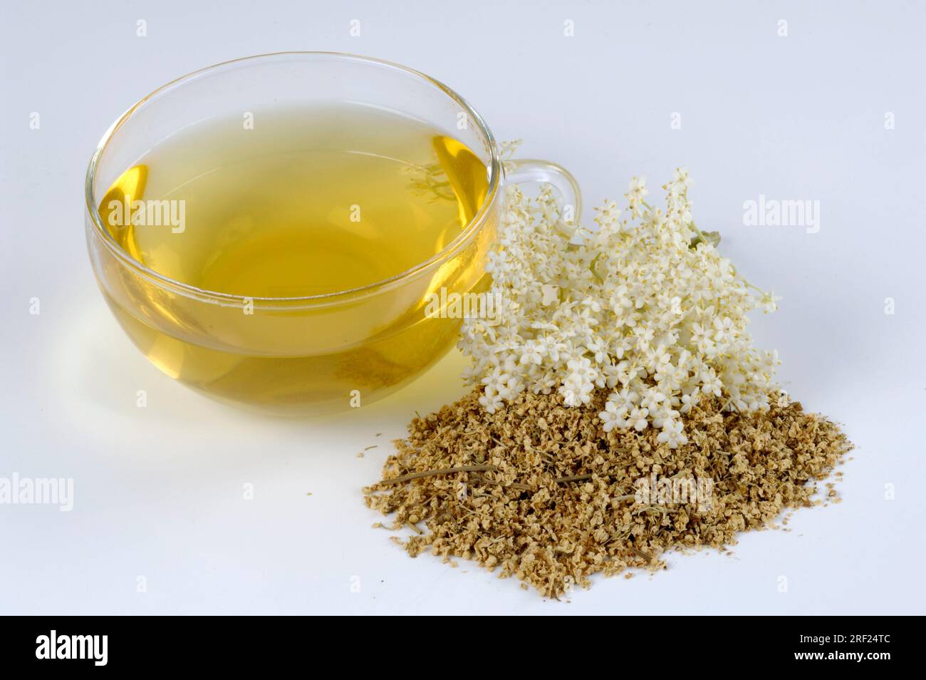 Elder Sambucus Nigra Dried Flowers Cup With Elderflower Tea