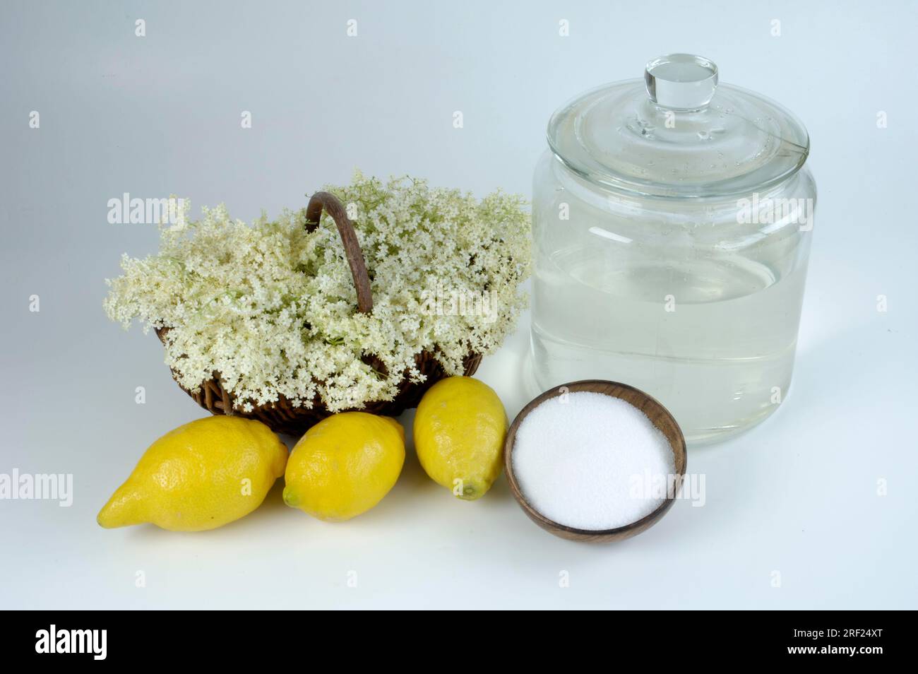 Elder (Sambucus nigra), production of syrup, elderberry syrup, sugar ...