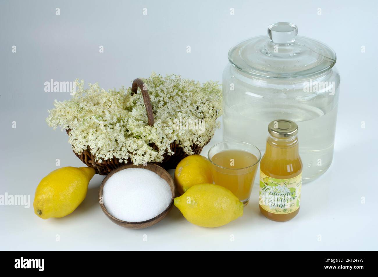 Elder (Sambucus nigra), production of syrup, elderberry syrup, sugar ...