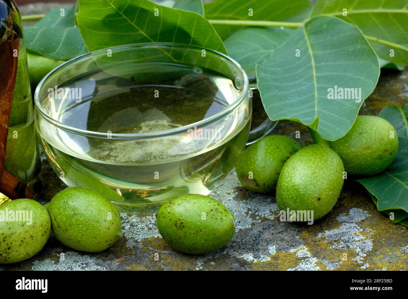 Cup with walnut tea (Juglans regia), walnut tea Stock Photo - Alamy