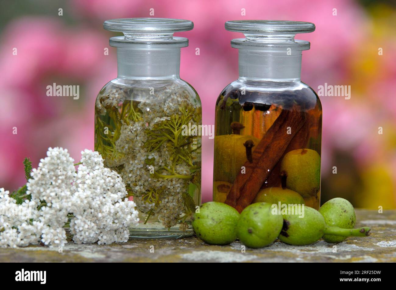 Bitters with yarrow, bitters with walnut (Achillea millefolium ...