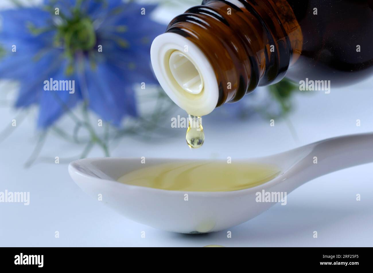 Black Cumin Oil, Maiden in the Green (Nigella damascena), Damask Black ...