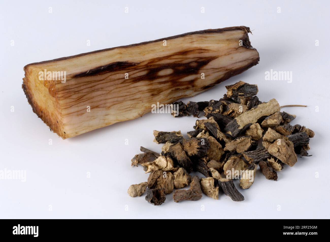 Comfrey, root, fresh and dried (Symphytum officinale), exempt, object ...