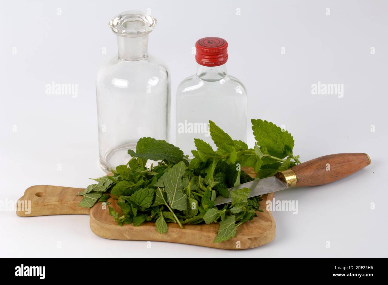 Production of lemon balm tincture (Melissa officinalis), lemon balm ...