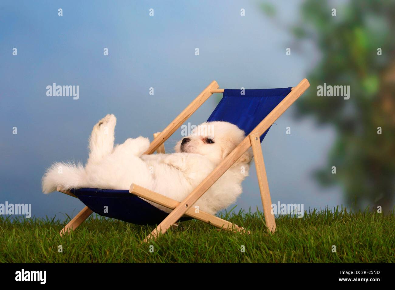 Supine chair hi-res stock photography and images - Alamy