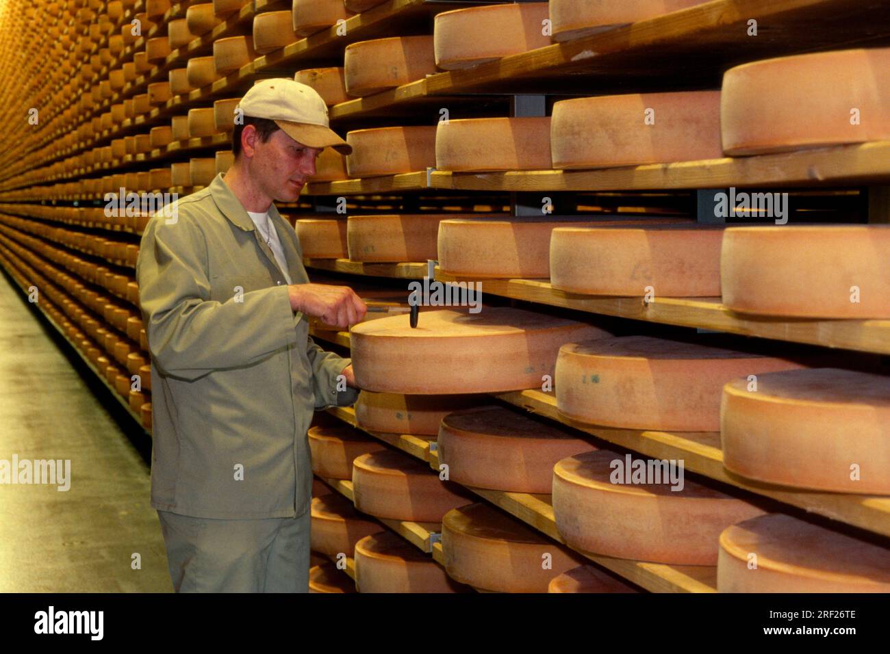 Cheese maker at work, shelf with cheese in cheese dairy, Lingenau ...
