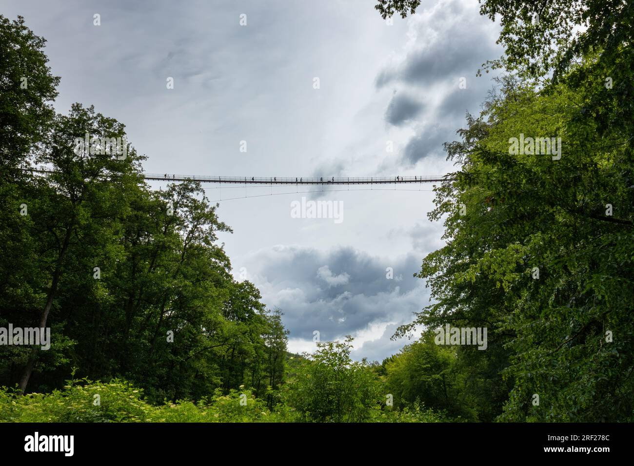 The Geierlay suspension bridge, the longest and most spectacular ...