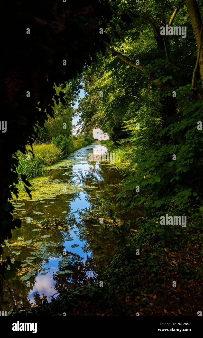 Lode Mill framed by foliage and reflected in Quy Water in the grounds ...