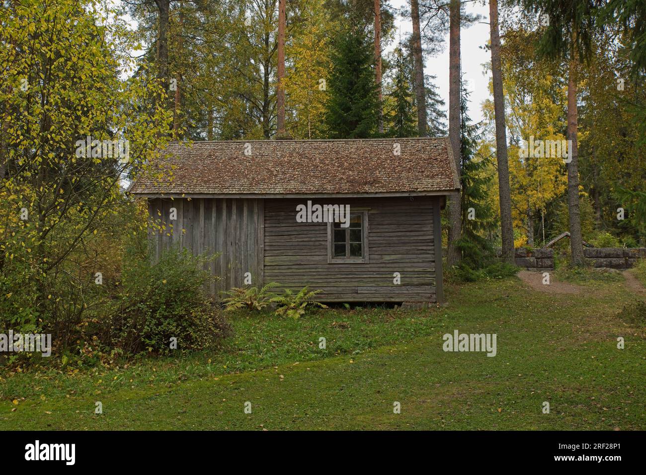 Old wooden building in forest Stock Photo - Alamy