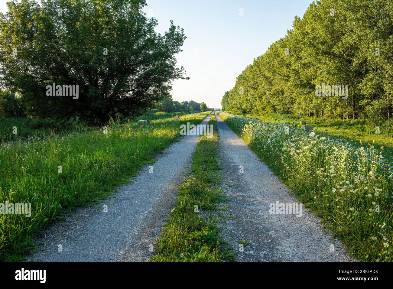 Pathway in nature hi-res stock photography and images - Alamy