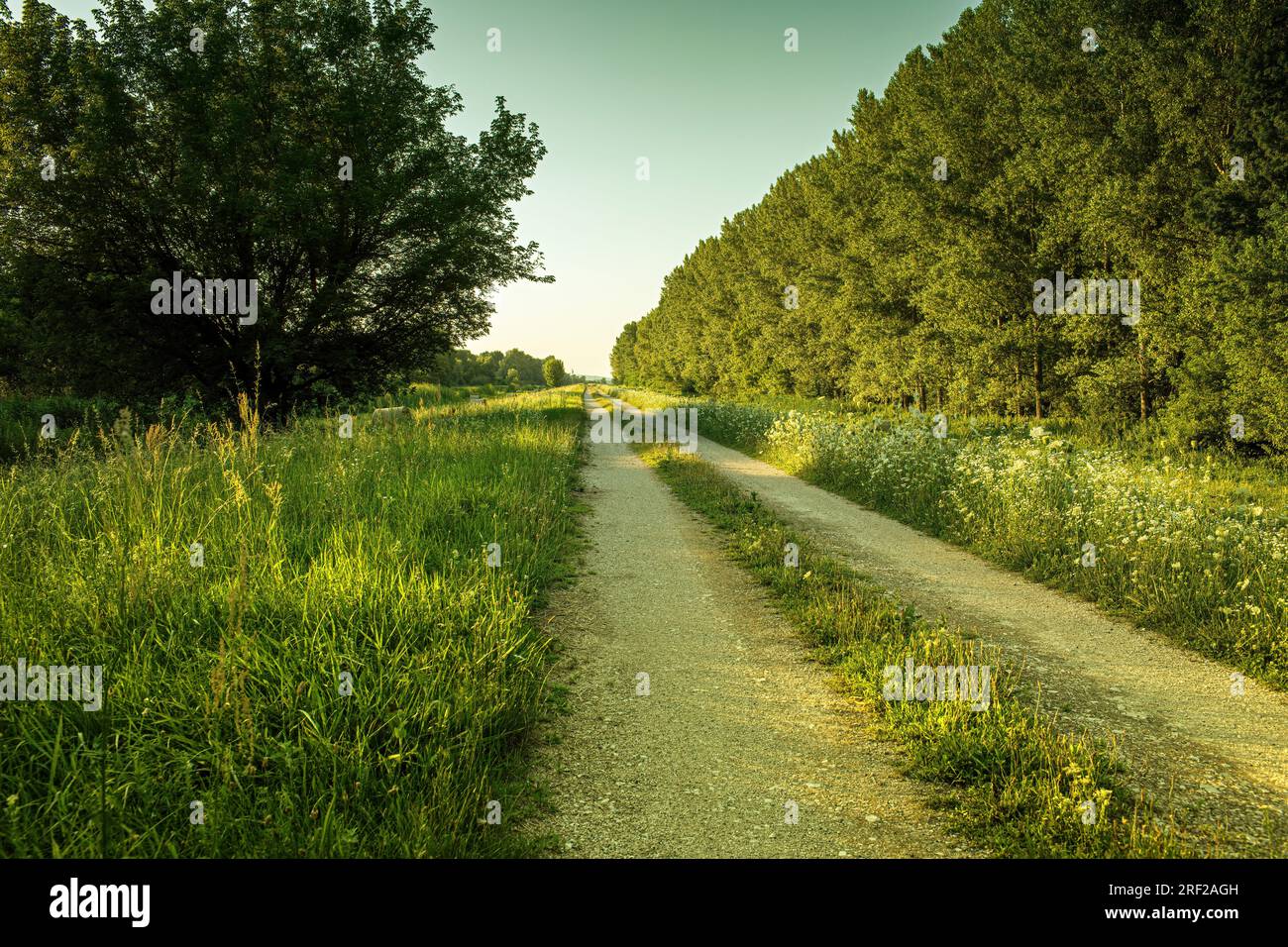 Pathway in nature hi-res stock photography and images - Alamy