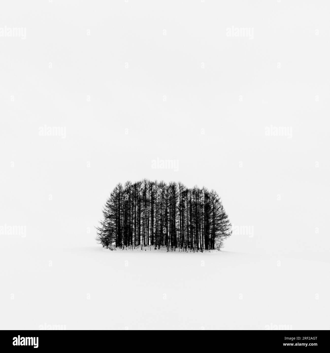 Mild seven Black and White Stock Photos & Images - Alamy
