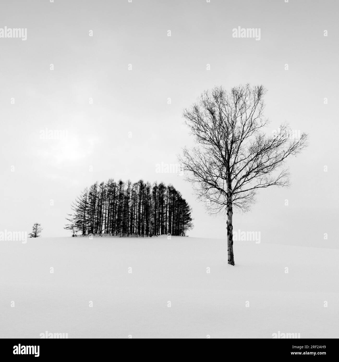 Mild seven Black and White Stock Photos & Images - Alamy