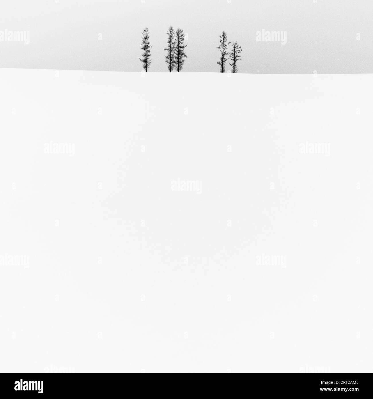 Mild seven Black and White Stock Photos & Images - Alamy
