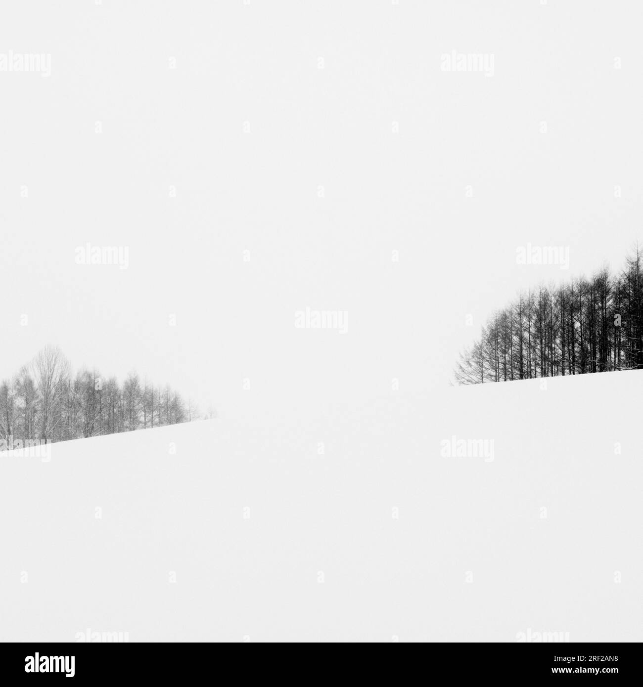 Hokkaido forest hi-res stock photography and images - Alamy