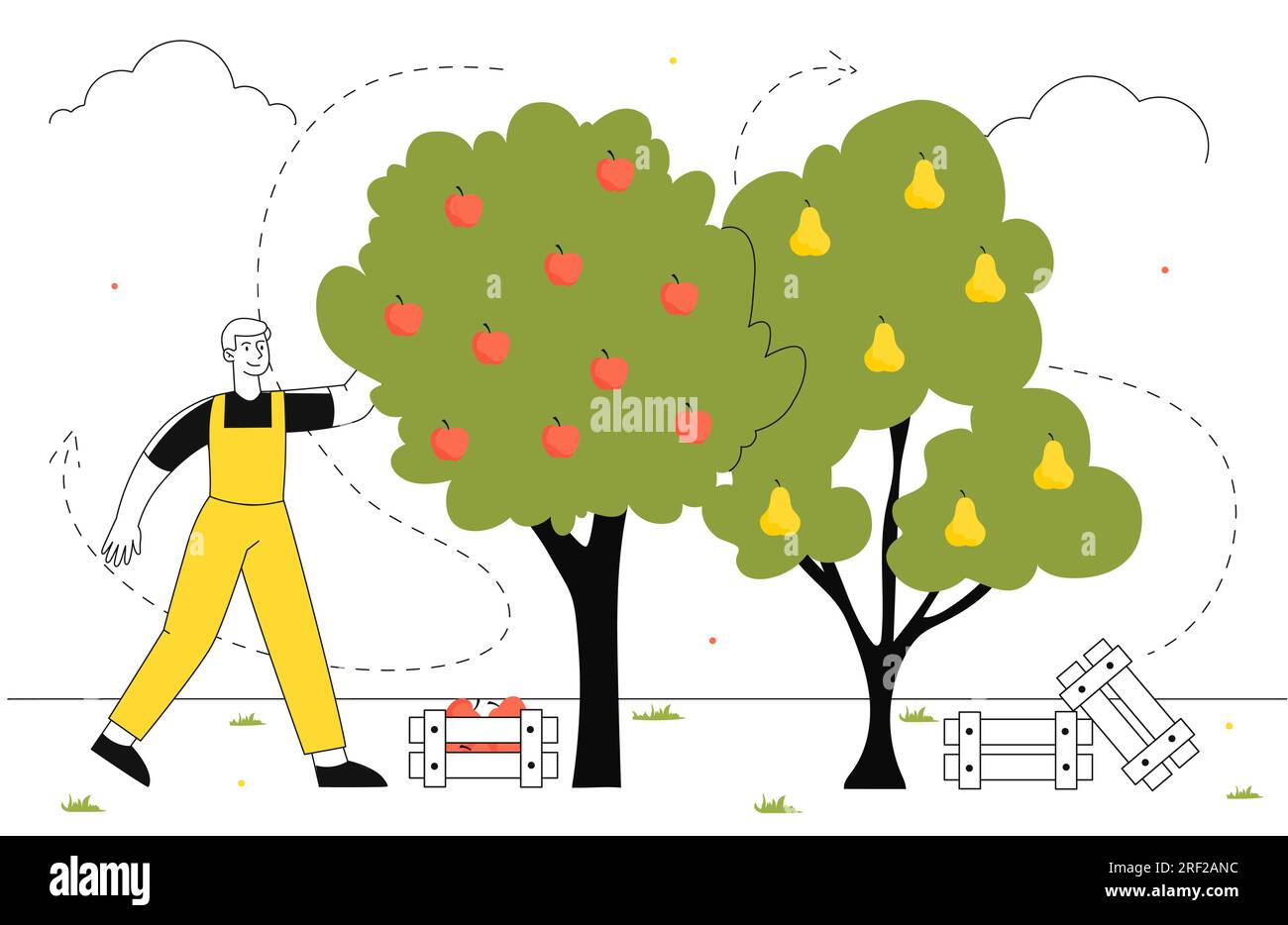 Picking apple garden man Stock Vector Images - Alamy