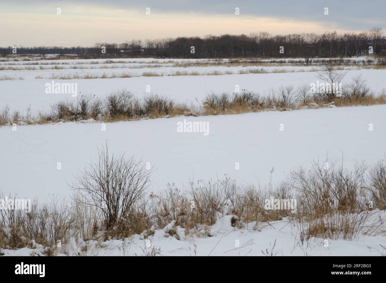 Snowy landscape in Kushiro Shitsugen National Park. Kushiro. Hokkaido ...