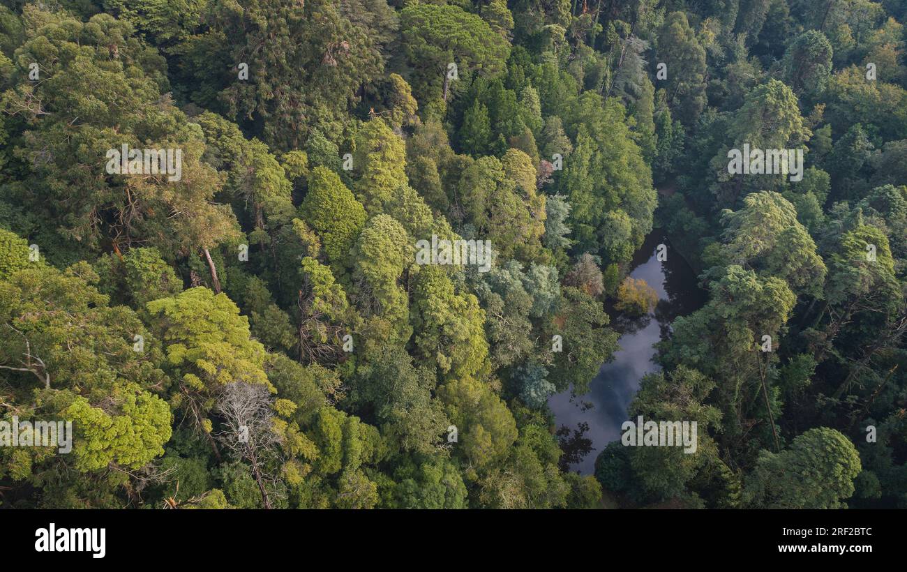 Bussaco hi-res stock photography and images - Alamy