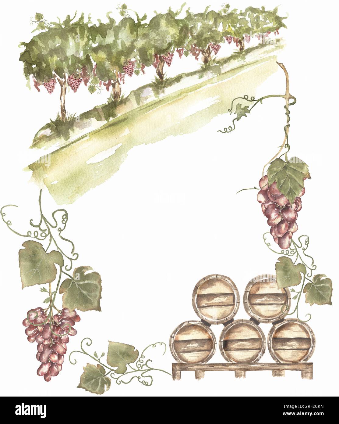 Italian countryside vineyard landscape Cut Out Stock Images & Pictures ...