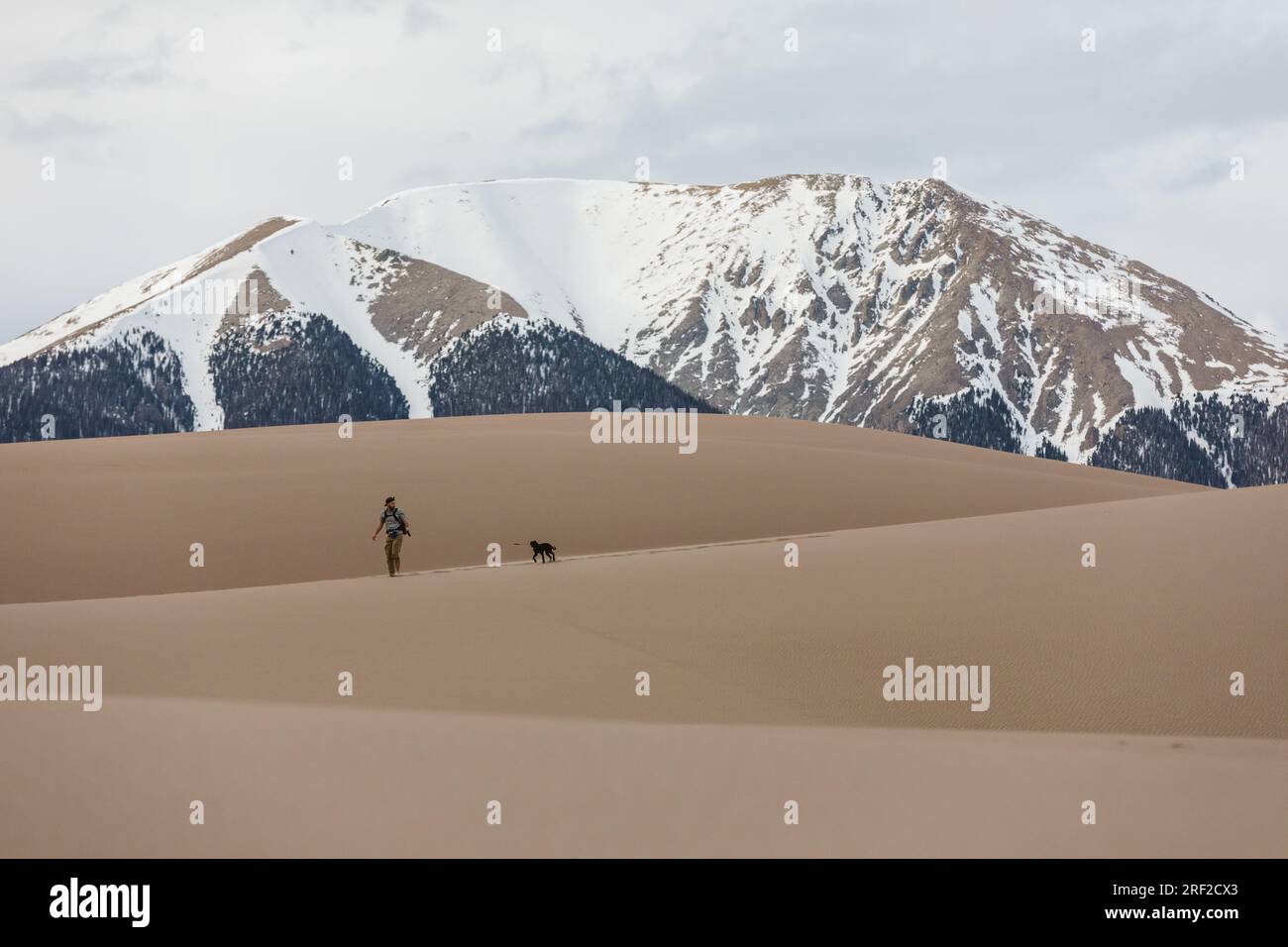 young man hikes with dog in the great sand dunes of colorado Stock ...