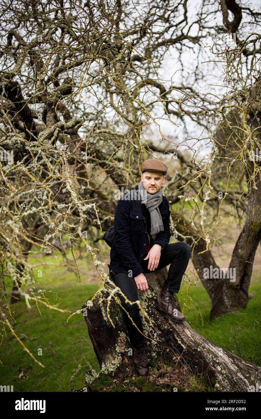 Old man tree stump hi-res stock photography and images - Alamy