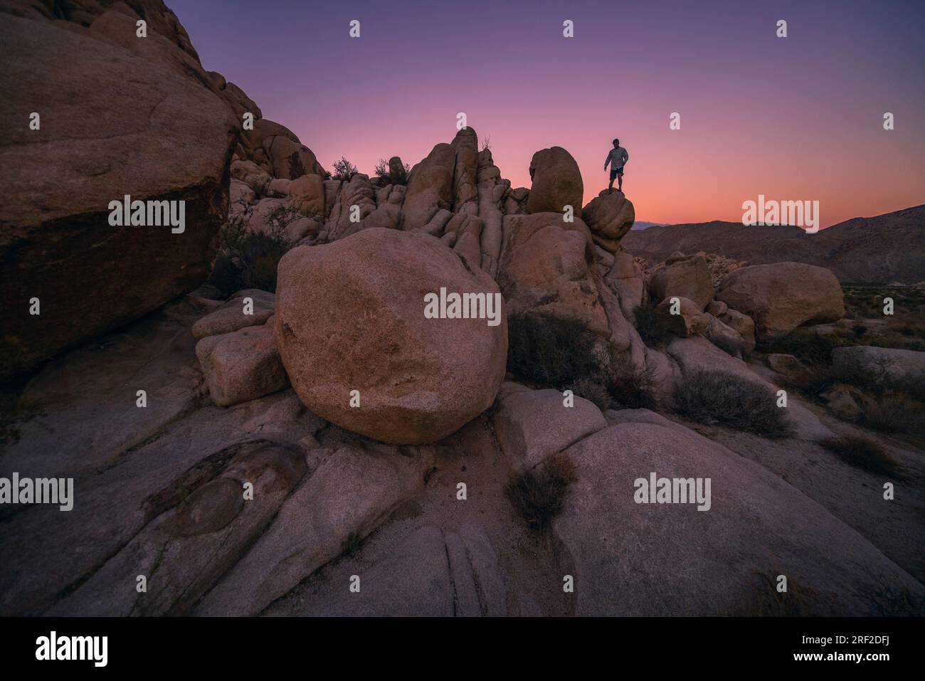 Joshua tree climbing hi-res stock photography and images - Alamy