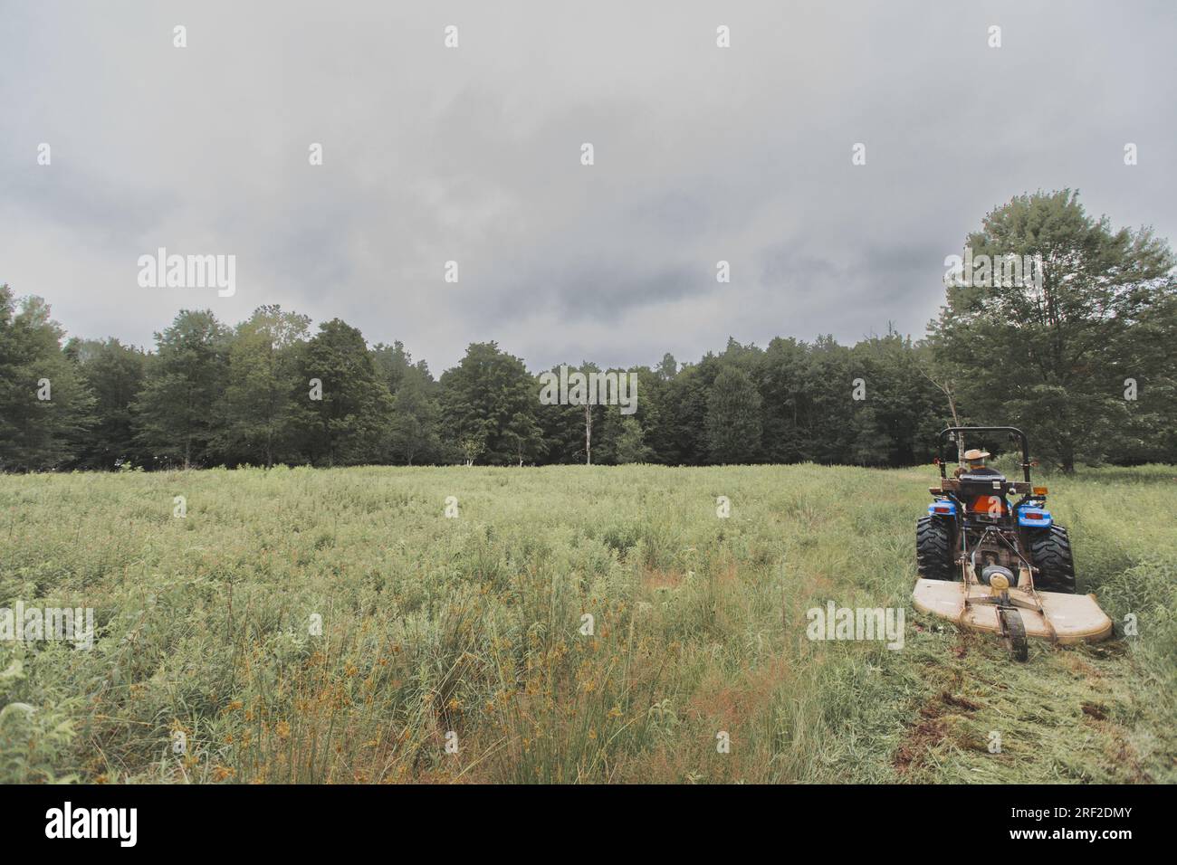 Blue tractor in forest hi-res stock photography and images - Alamy