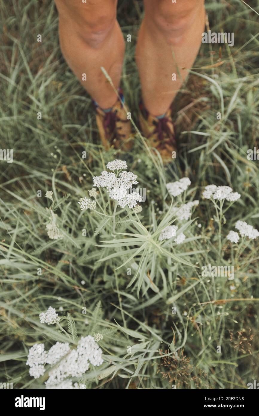 Wild Flowers with legs and Boots Stock Photo - Alamy