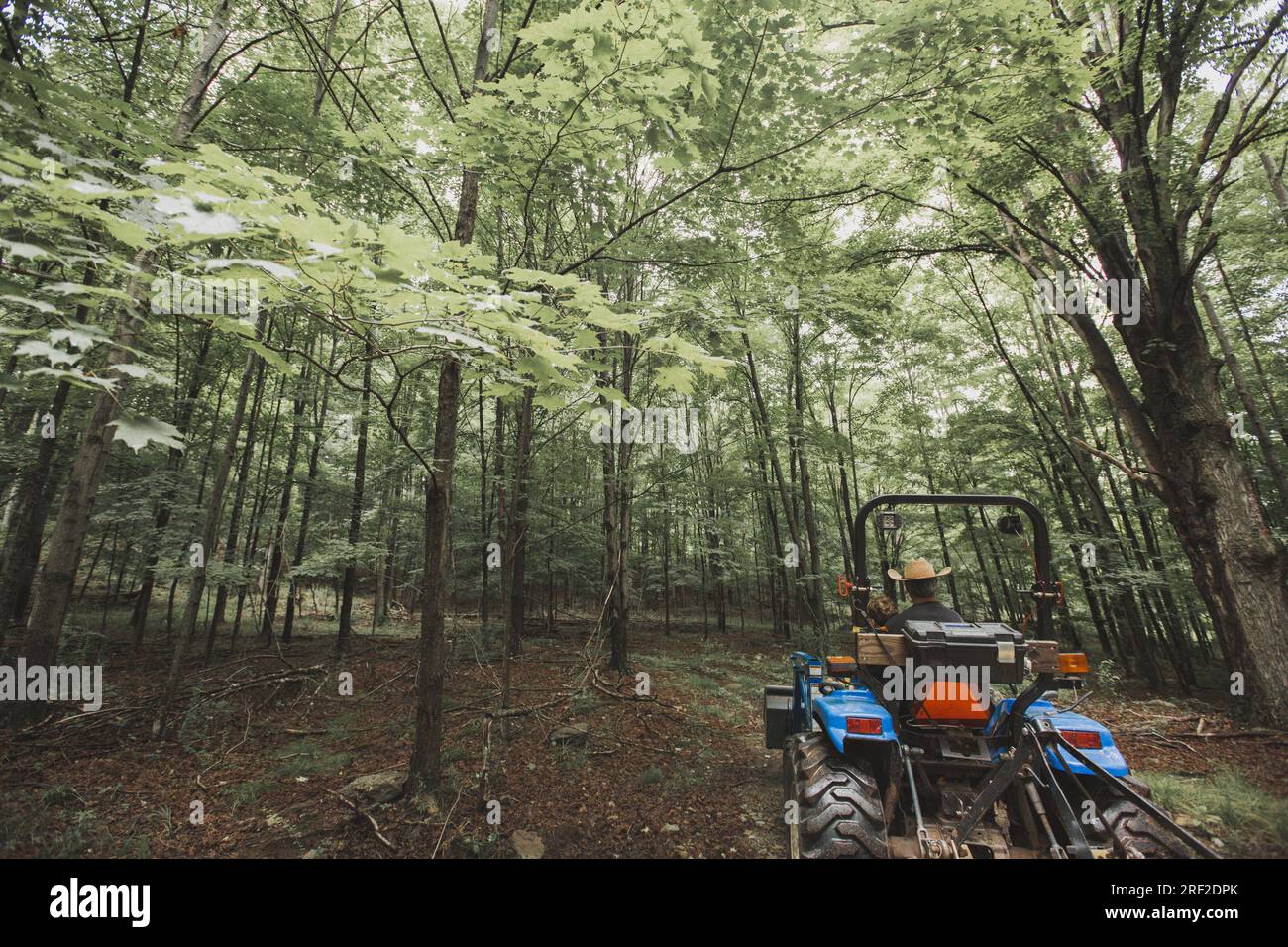 Blue tractor in forest hi-res stock photography and images - Alamy