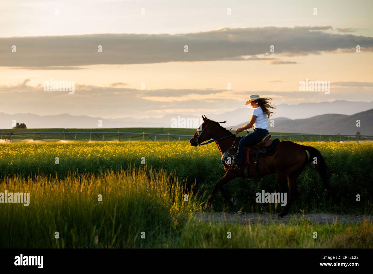 Twenty year old model hi-res stock photography and images - Alamy