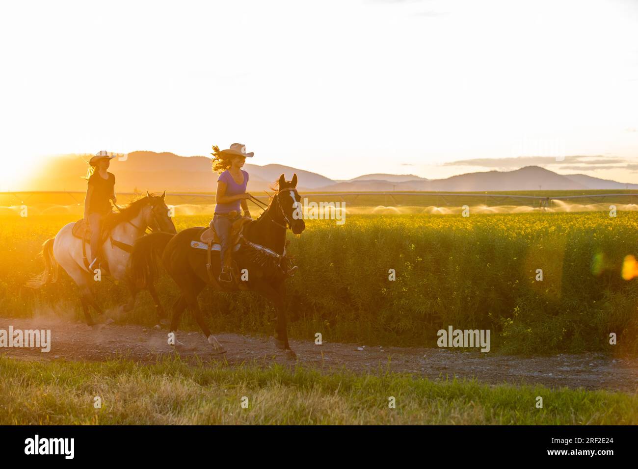 Riding horses at sunset hi-res stock photography and images - Alamy