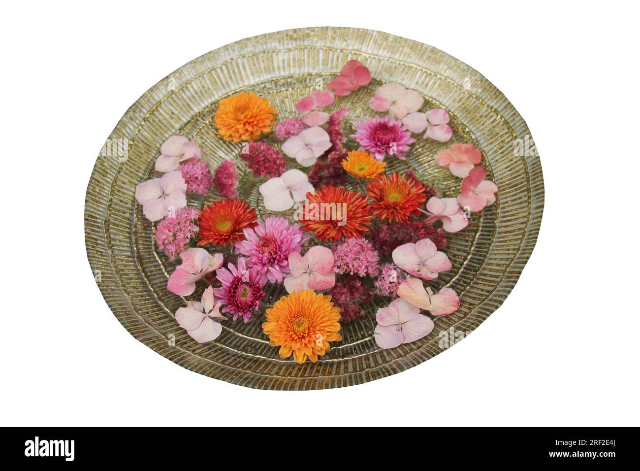 A Floating Display of Mixed Seasonal Flowers Stock Photo - Alamy A Floating Display of Mixed Seasonal Flowers Stock Photo - Alamy
