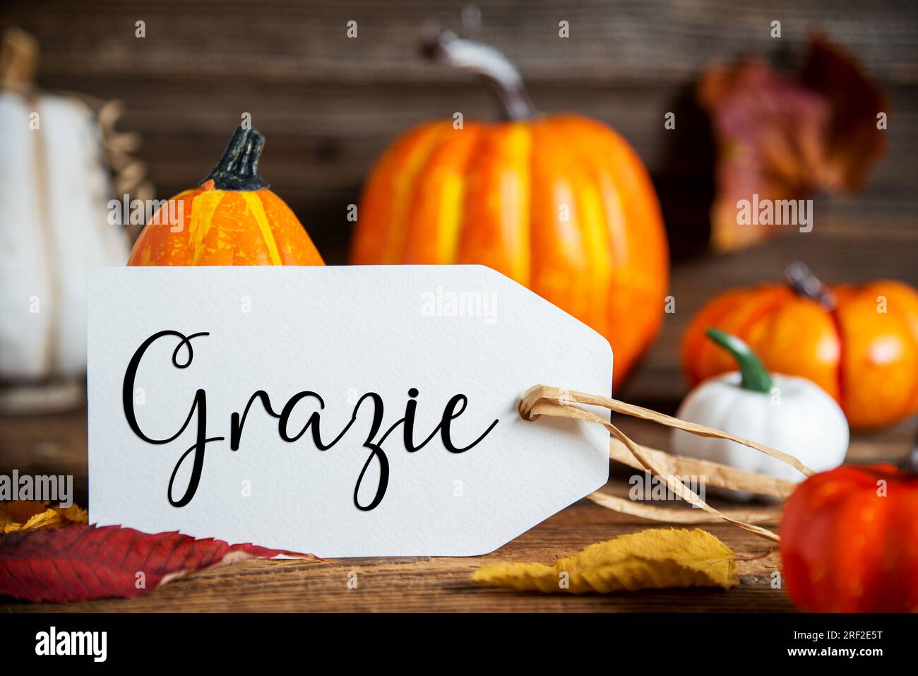Orange Pumpkin Decoration With Label With Text Grazie Stock Photo - Alamy