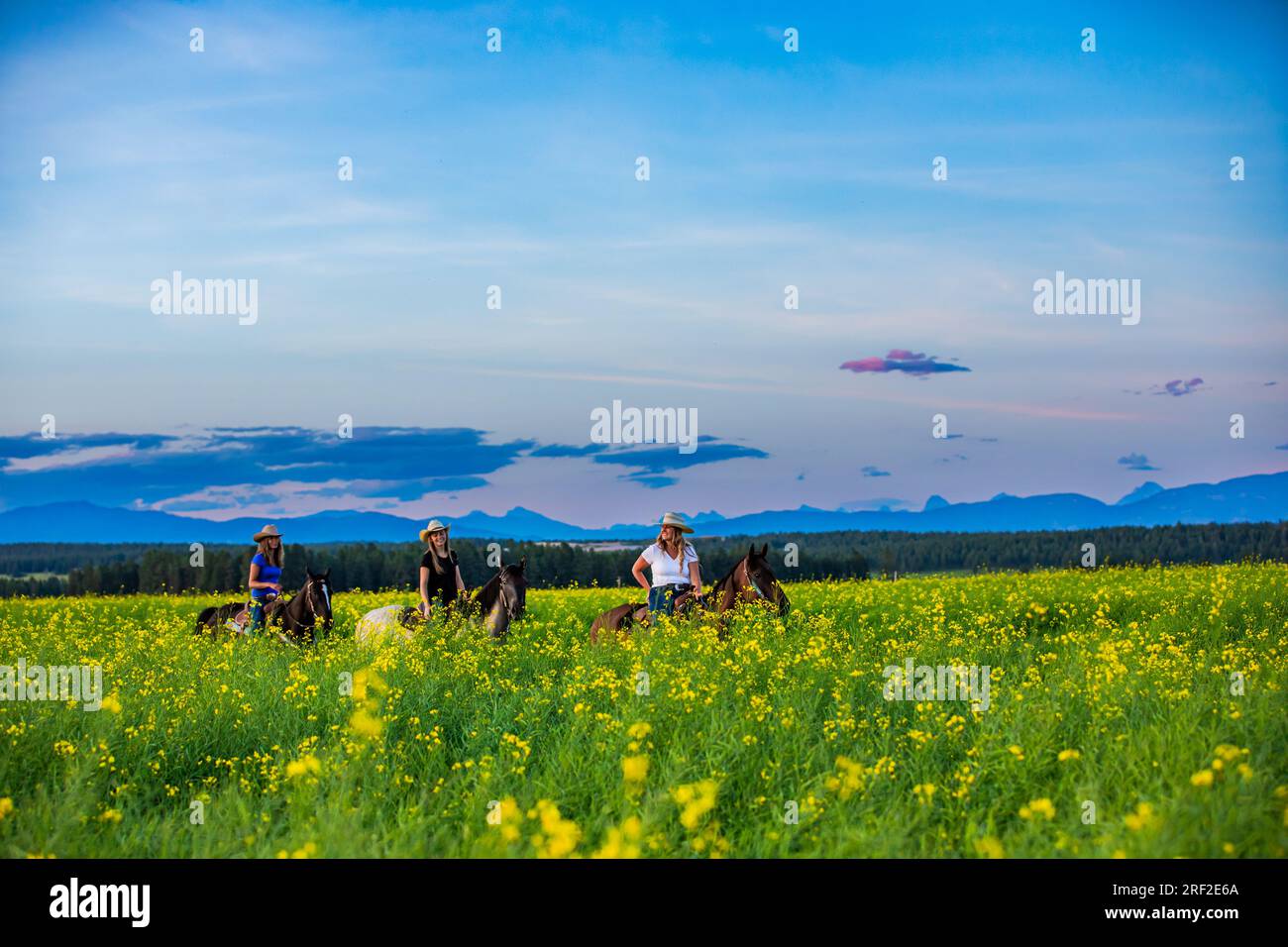 Riding horses at sunset hi-res stock photography and images - Alamy