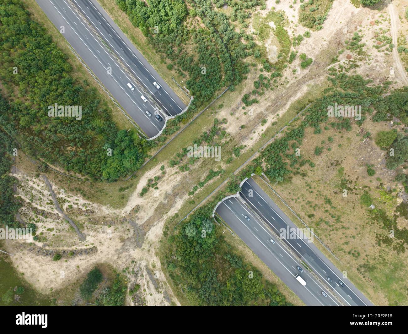 Top down view on eco passage way, aerial drone view Stock Photo - Alamy