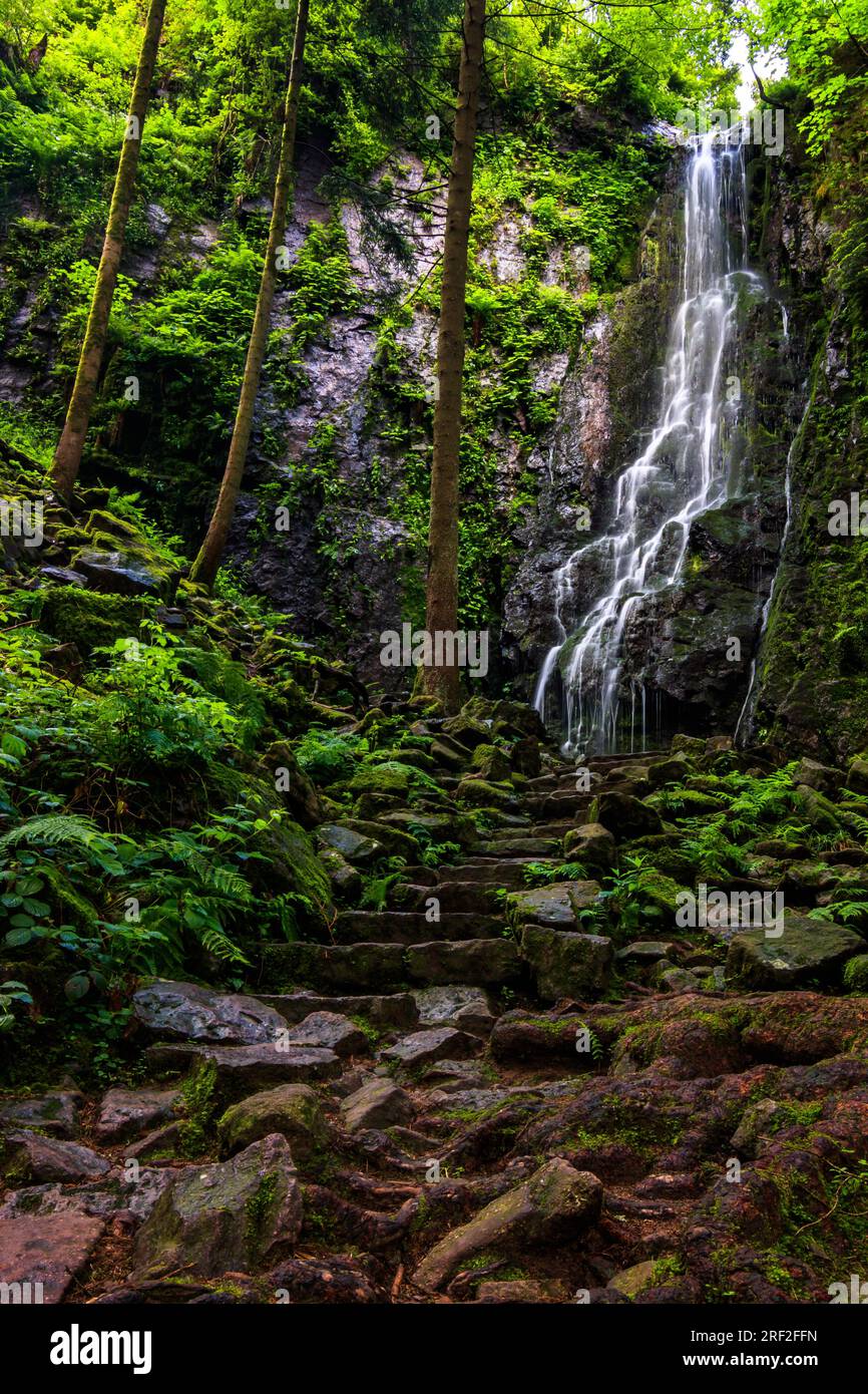 Burgbach Waterfall in Black Forest Germany. Recorded in summer He falls ...