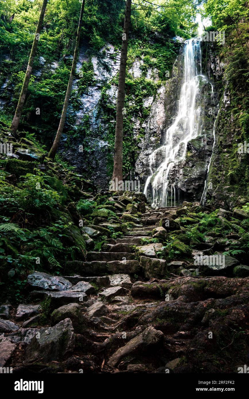 Burgbach Waterfall in Black Forest Germany. Recorded in summer He falls ...