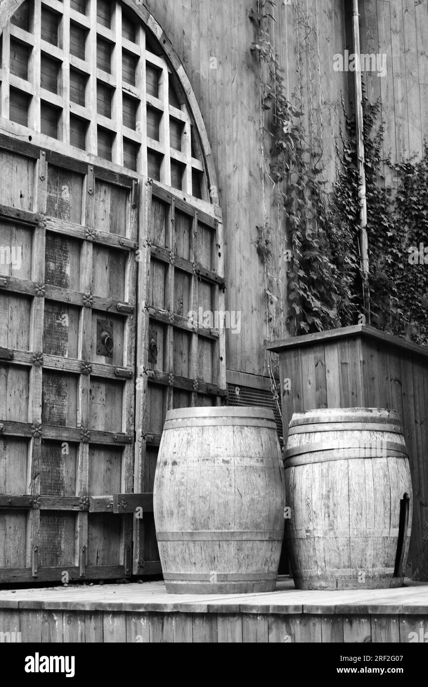 Old looking gate and wooden rum barrels in pirate town in amusement ...
