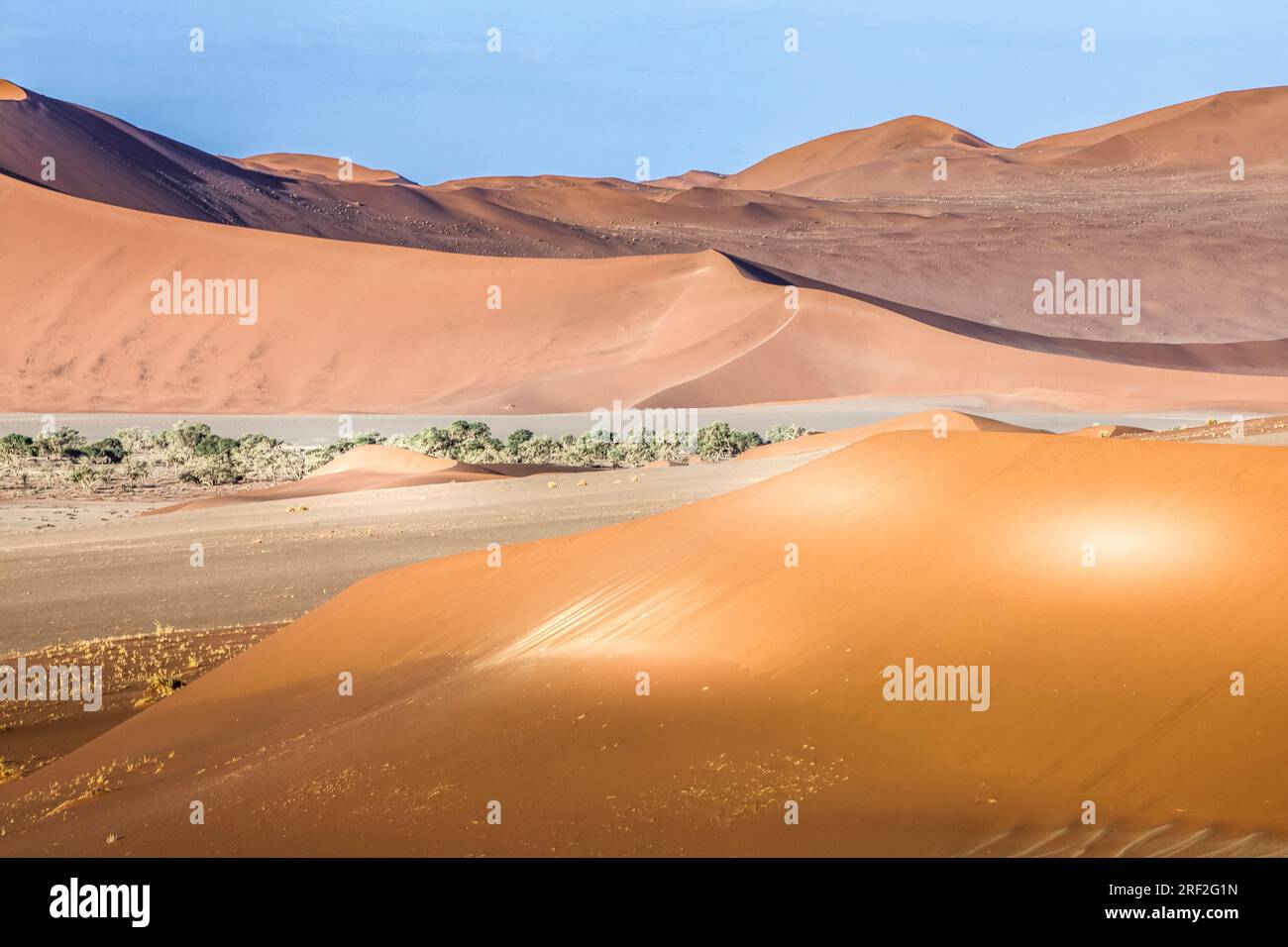 Dunes in Sossusvlei Area, Namib Naukluft Park, Namibia Stock Photo - Alamy