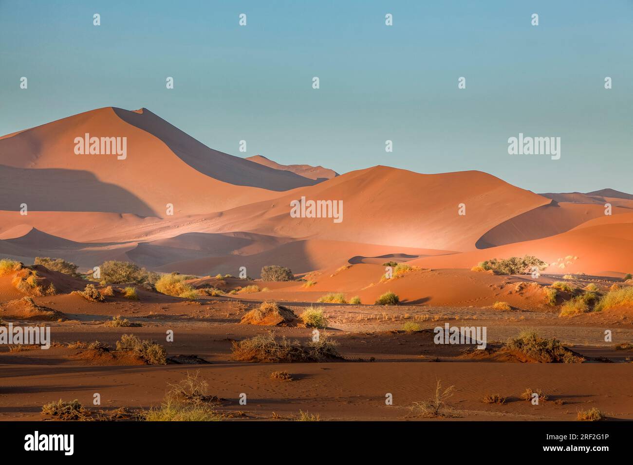 Big Daddy Dune, Namib Naukluft Park, Namibia Stock Photo - Alamy
