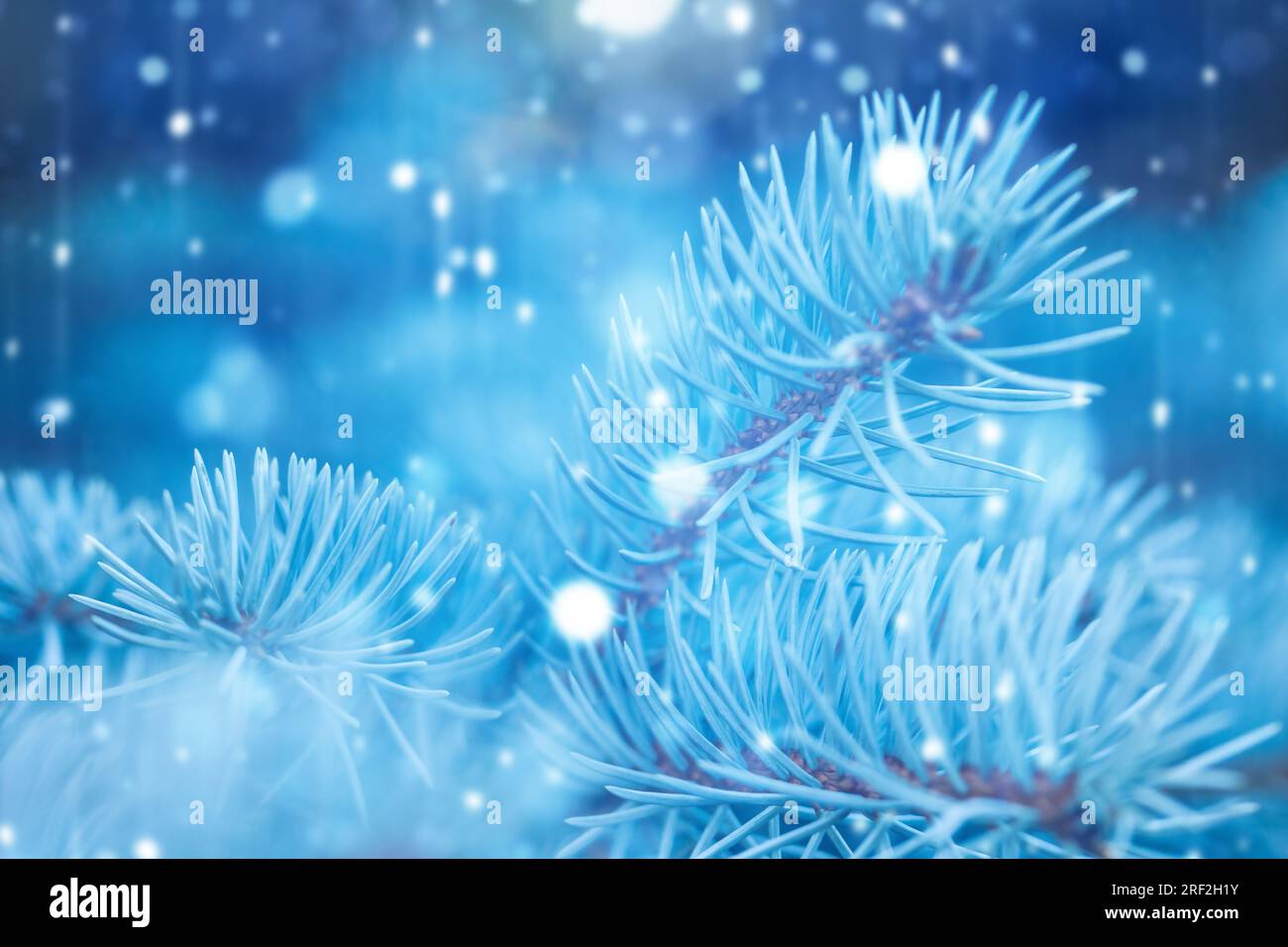 Winter background and Christmas Tree with pine branches and falling ...
