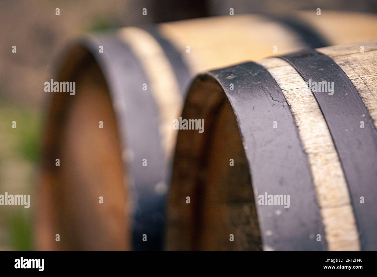 Winery - barrels with vine in small family vineard Stock Photo - Alamy