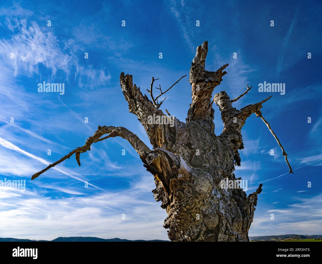 Ostfalen hi-res stock photography and images - Alamy
